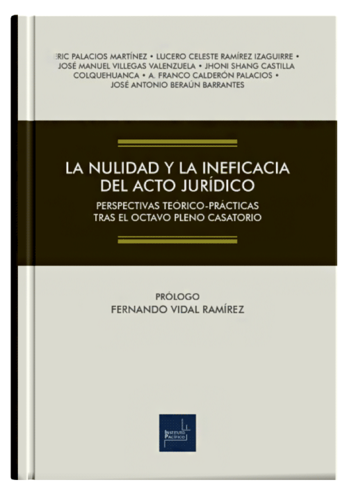 LA NULIDAD Y LA INEFICACIA DEL ACTO JURÍDICO | Librería Juridica Legales | Libros de Derecho ...